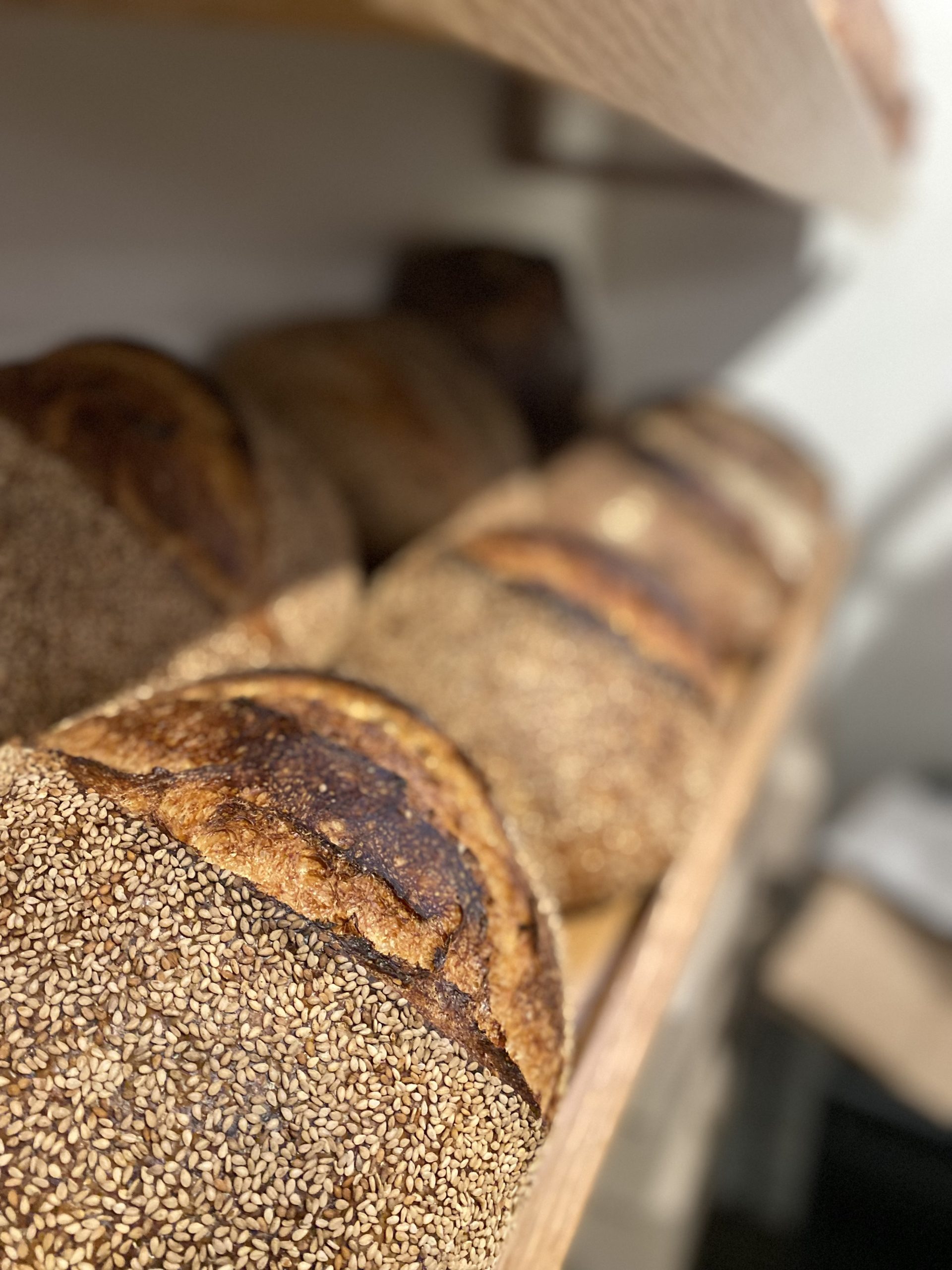 Frequently Asked Questions - Bread & Culture